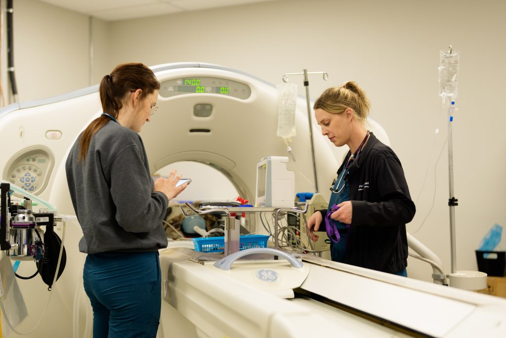 CT Scans & MRIs - Boundary Bay Specialty Veterinary Hospital