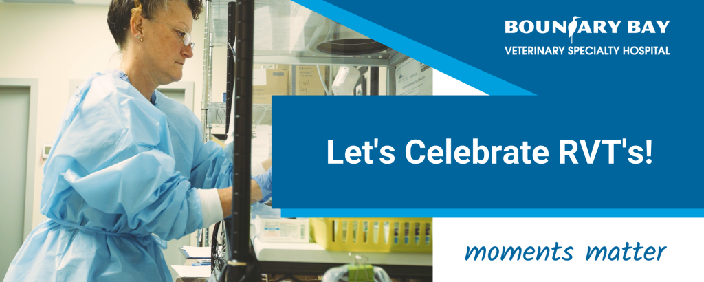 Let's Celebrate RVT's! - Boundary Bay Veterinary Specialty Hospital