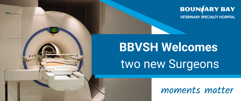 BBVSH Welcomes Dr. Greta VanDeventer and Dr. Alex Alvarez - October ...
