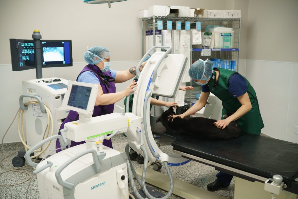 Boundary Bay Veterinary Specialty Hospital
