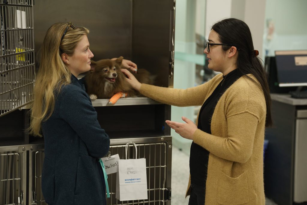 Care for the care-givers – the role of a veterinary social worker ...