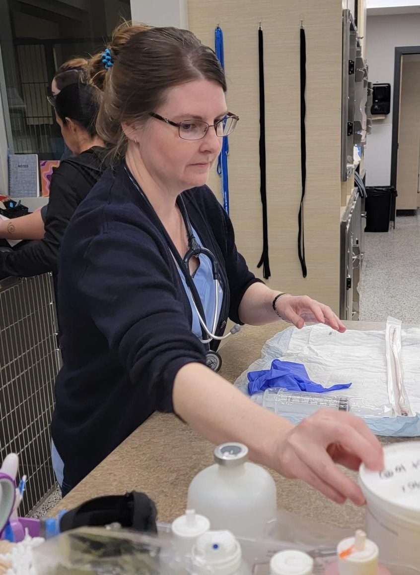 October is RVT Month! - Boundary Bay Veterinary Specialty Hospital