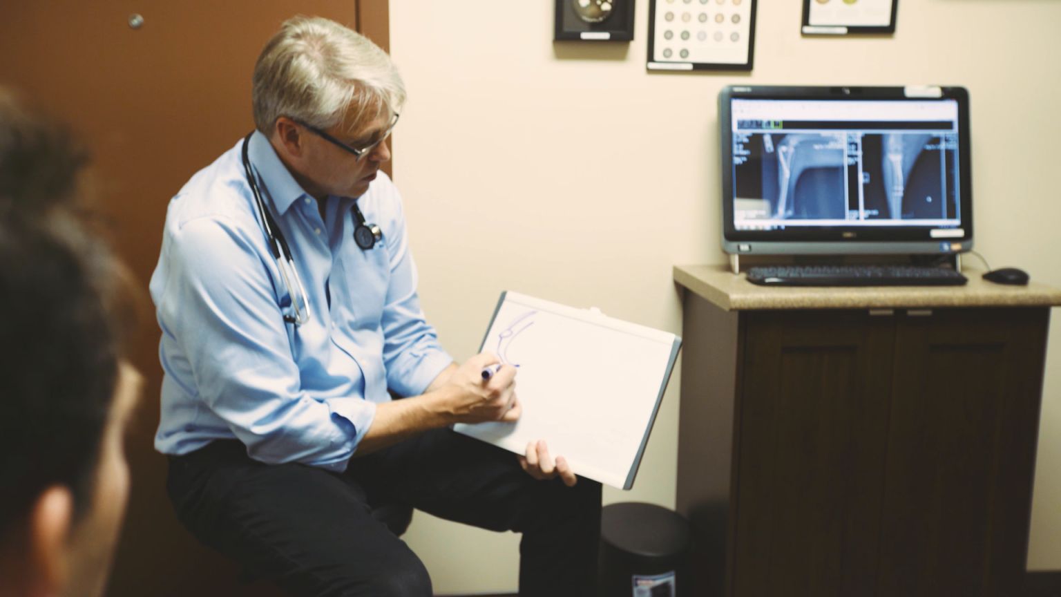 TPLO Surgery for Dogs: What to Expect From This Common Procedure ...