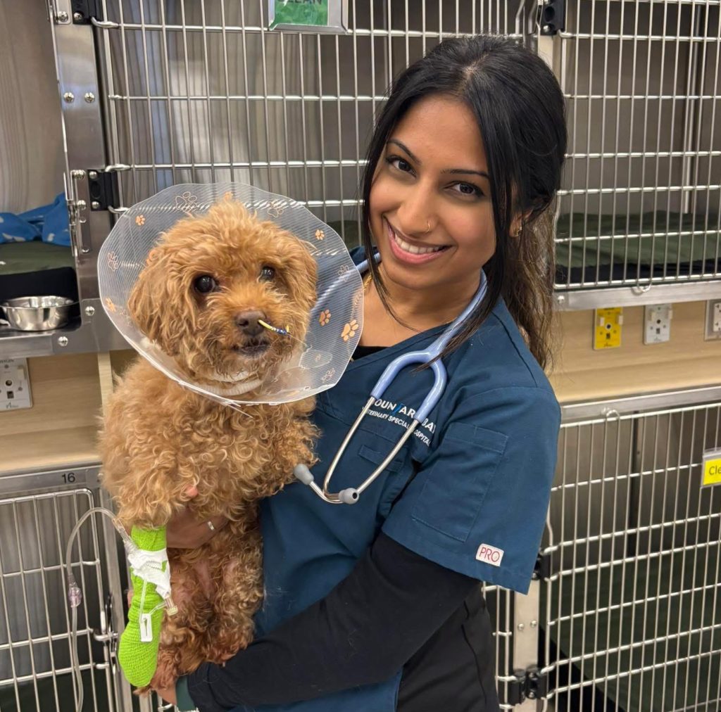 Boundary Bay Veterinary Specialty Hospital