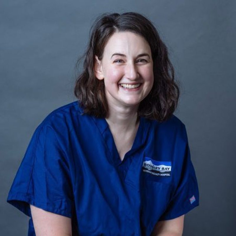 Our Team - Boundary Bay Veterinary Specialty Hospital